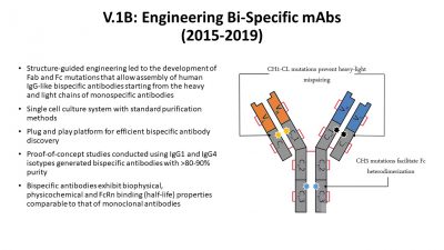 Antibody Engineering « Sasisekharan Lab
