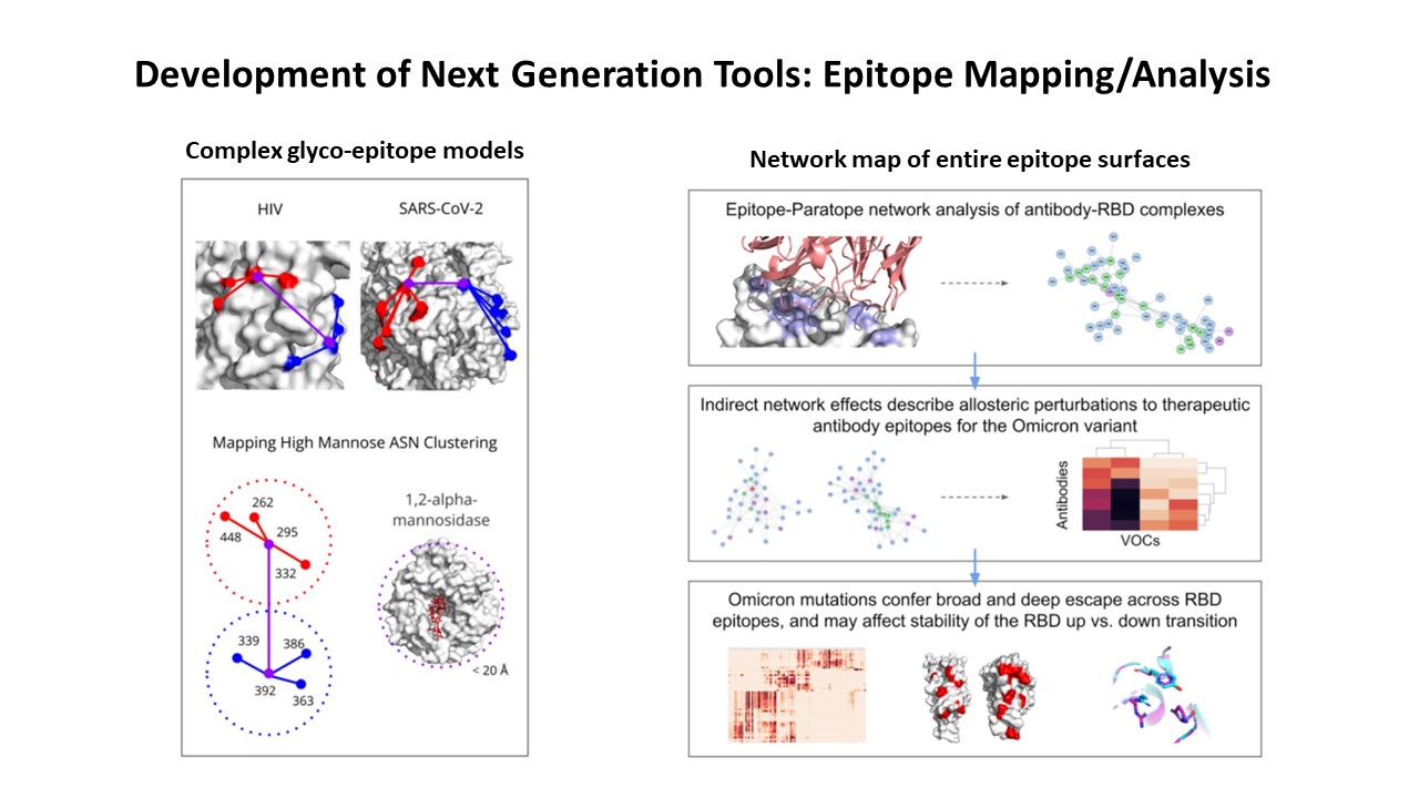 Antibody Engineering « Sasisekharan Lab
