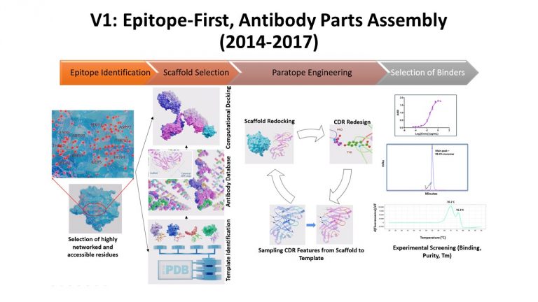 Antibody Engineering « Sasisekharan Lab