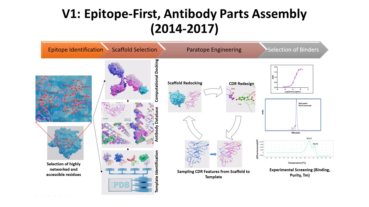 Antibody Engineering « Sasisekharan Lab
